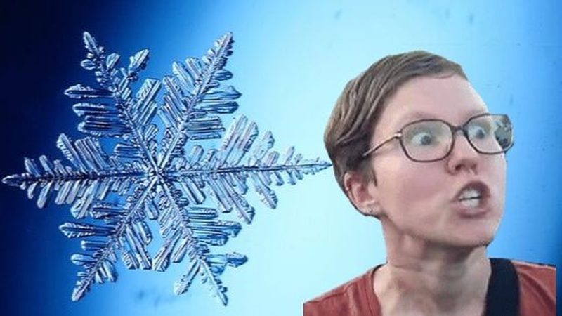 The Rise Of The Snowflake Generation Crazz Files